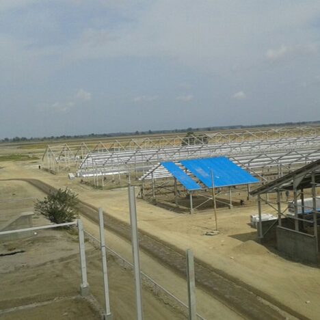 Yalama Farm – Azeristeel – Garadagh